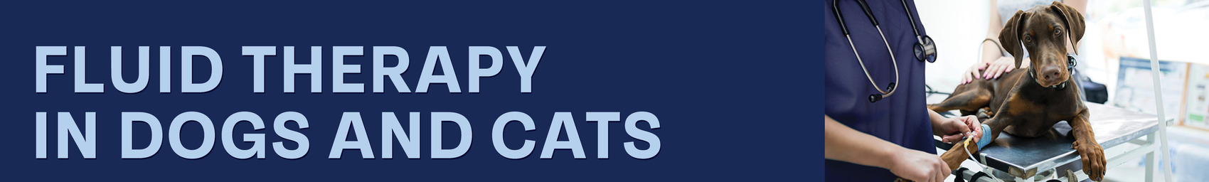 Fluid Therapy in Dogs and Cats | American Animal Hospital Association